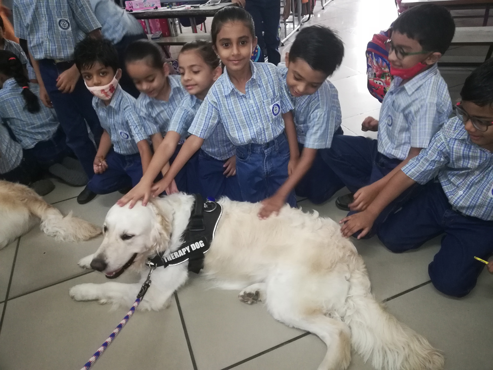 Dog Therapy Session for Students