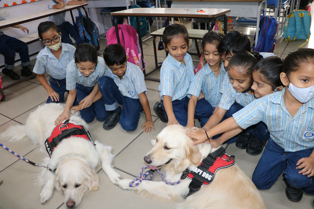 Dog Therapy Session for Students